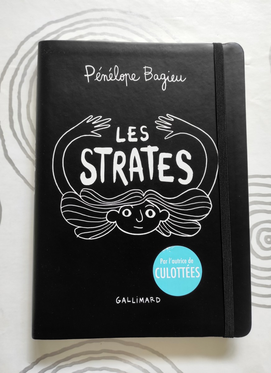 Les strates, roman graphique de Pénélope Bagieu – Les Liseuses de Bordeaux