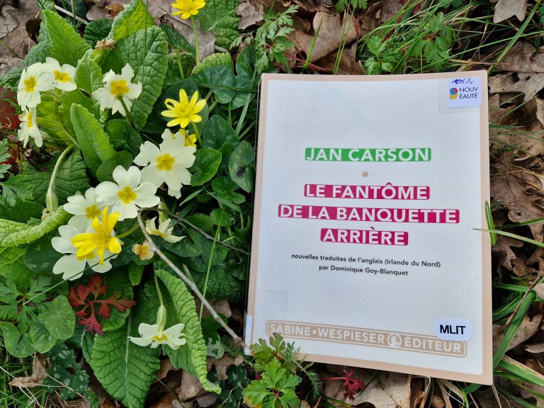 Le fantôme de la banquette arrière de Jan Carson – Les Liseuses de Bordeaux